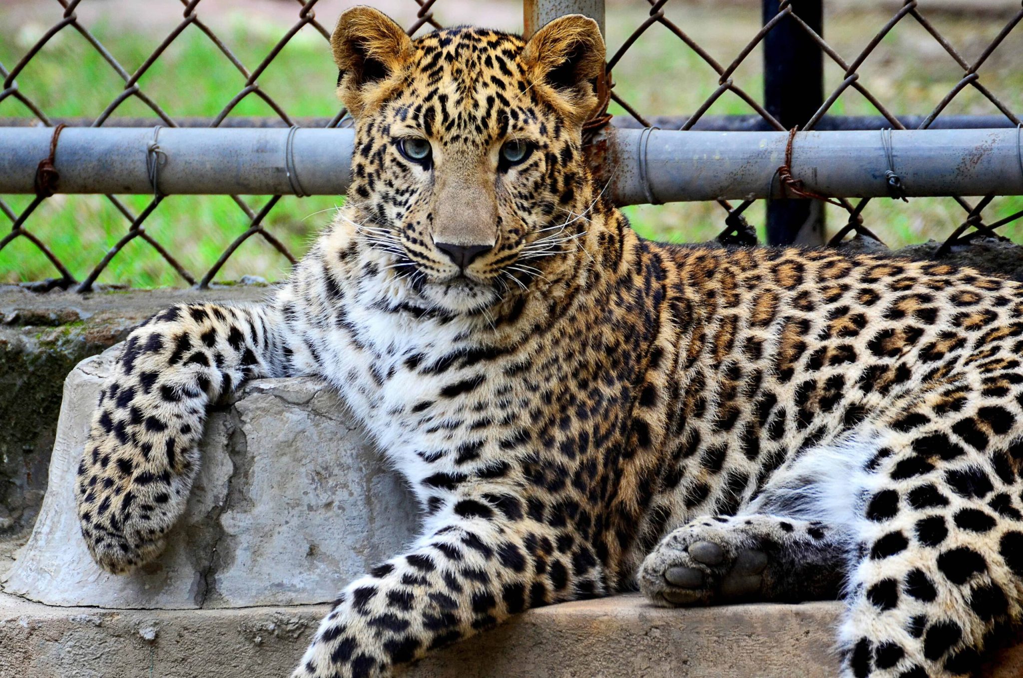 Budapest Zoo & Botanical Garden Guide